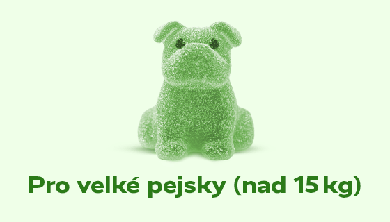 Pro velké pejsky - GUMMY LIFE